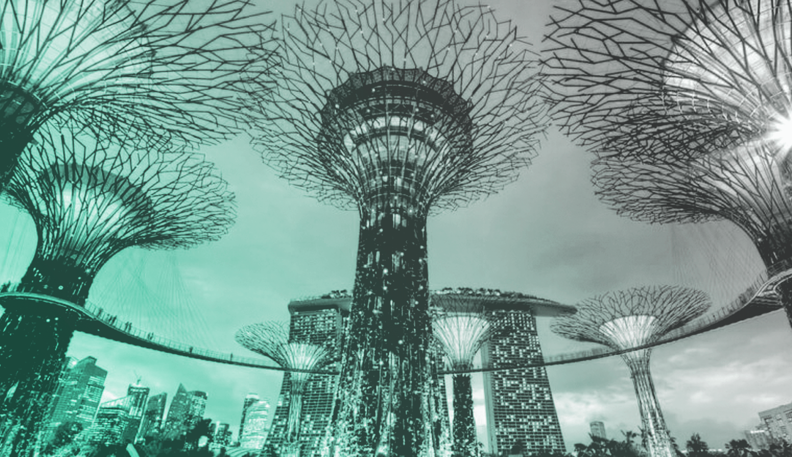 How 5G Networks Could Help the Environment - Hark